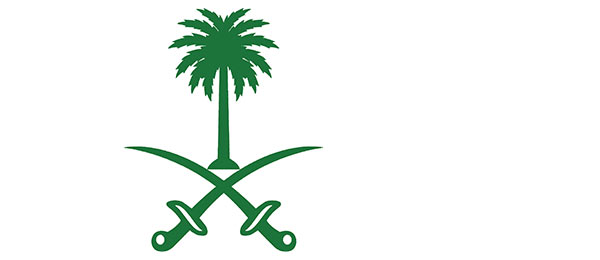 全球投资机遇专区 | 一带一路高峰论坛 香港贸易发展局